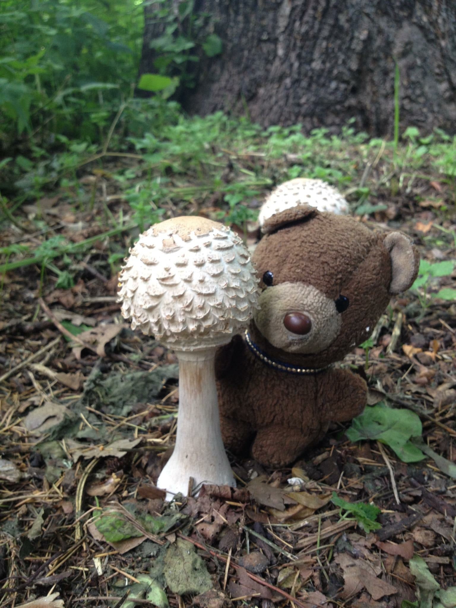 COG’S ADVENTURES IN THE BIG SMOKE Vol.2 – COGTHEBIGSMOKE